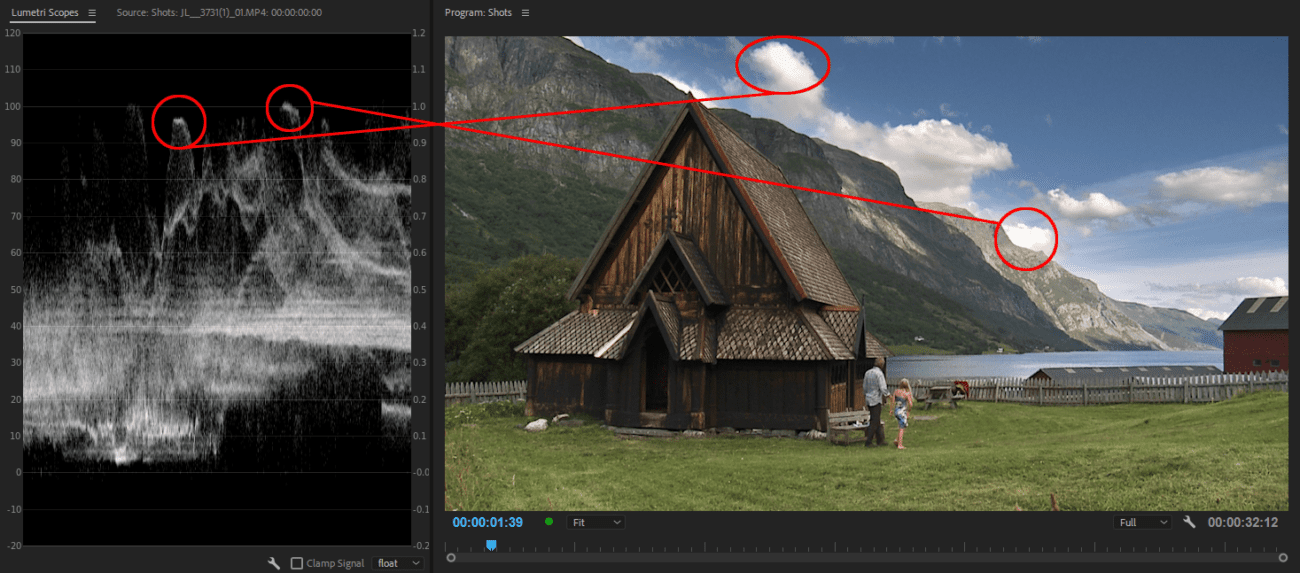 How to Use and Read the Four Primary Video Scopes