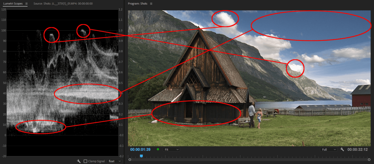 How to Use and Read the Four Primary Video Scopes