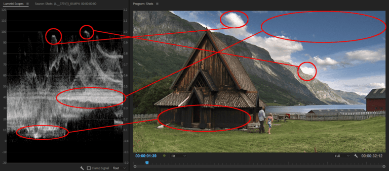 How to Use and Read the Four Primary Video Scopes