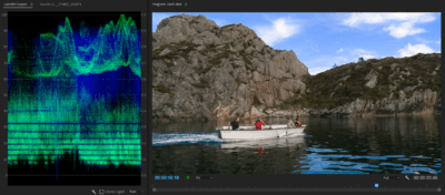 How to Use and Read the Four Primary Video Scopes
