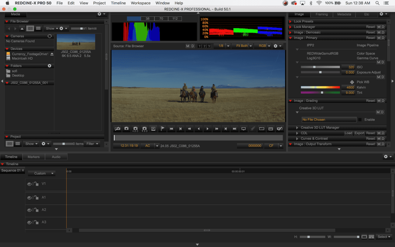 Complete Guide to RED Workflows: Premiere, FCP X and Resolve