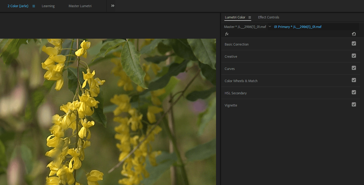 The Complete 2024 Premiere Pro Color Correction Guide - Frame.io Insider