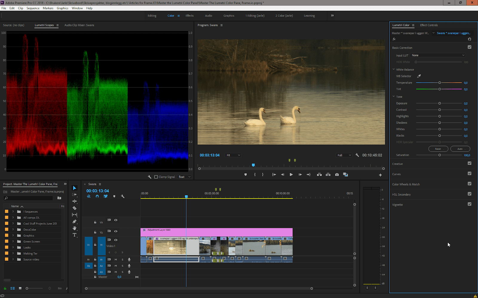 The Complete 2024 Premiere Pro Color Correction Guide - Frame.io Insider