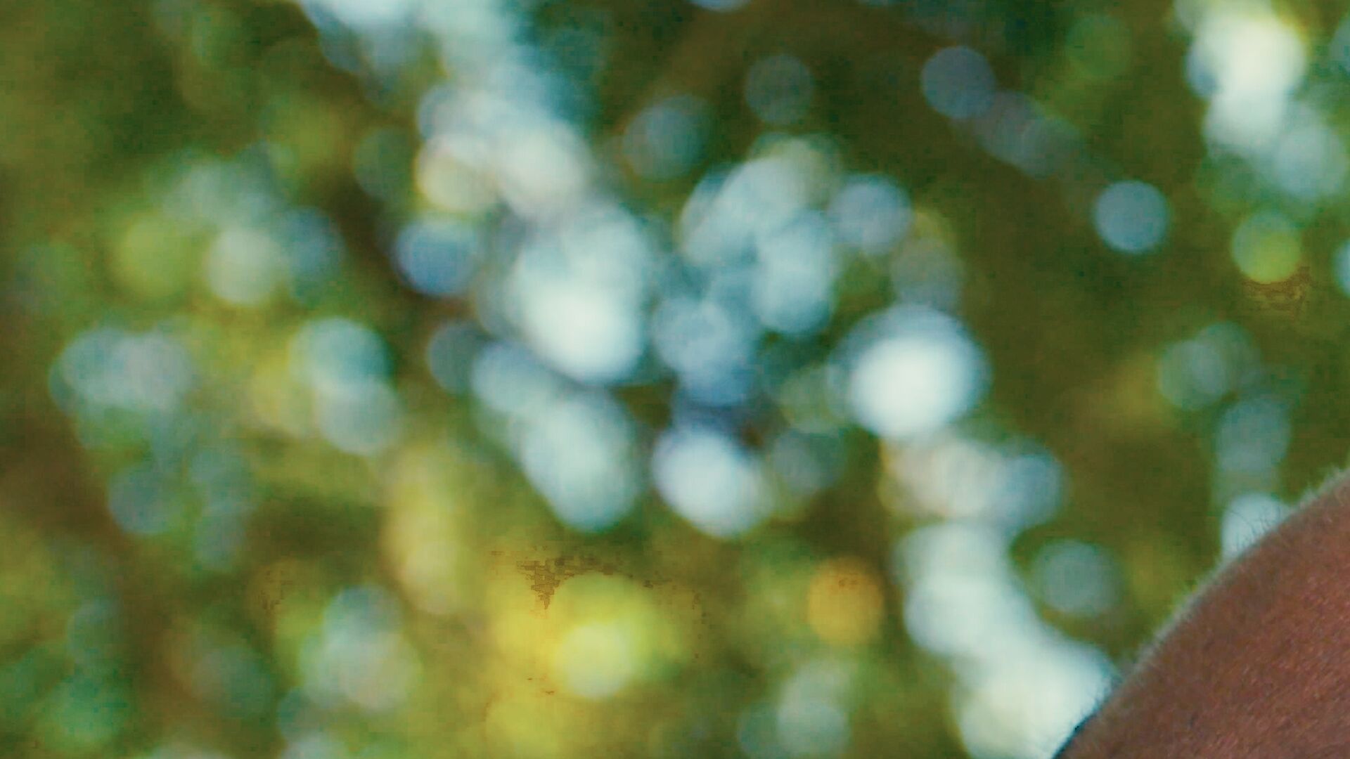 The Essential Guide to LUTs