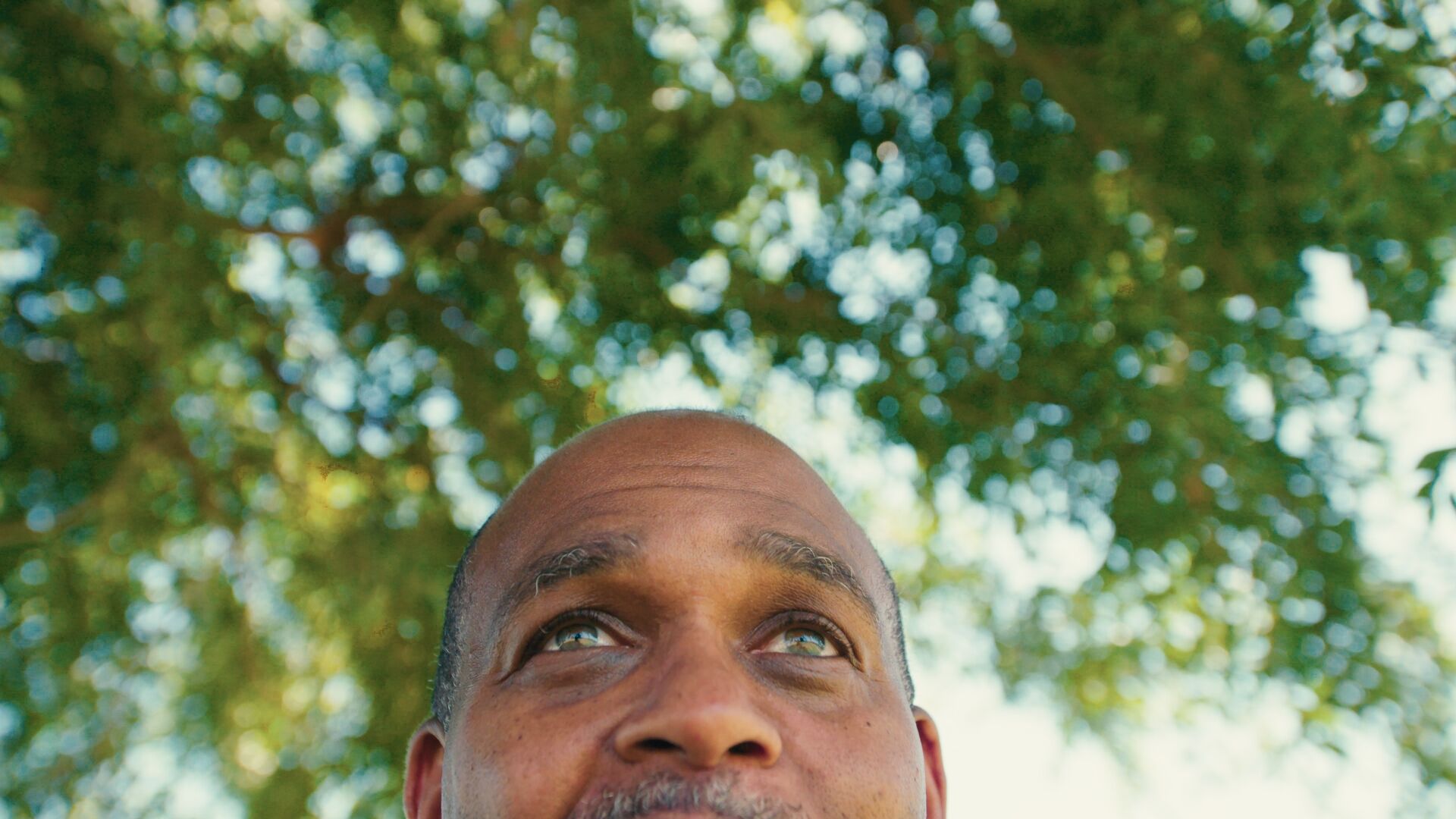 The Essential Guide to LUTs