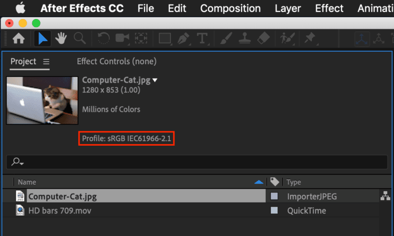 The Beginner's Guide to Color Management with Adobe Creative Cloud Apps