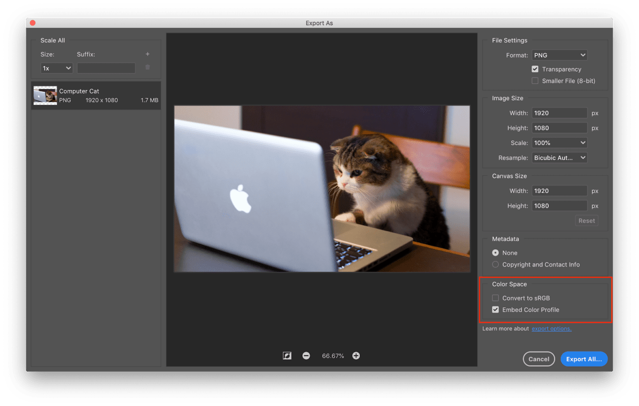 The Beginner's Guide to Color Management with Adobe Creative Cloud Apps