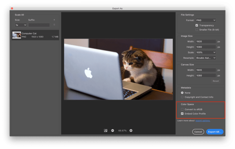 The Beginner's Guide to Color Management with Adobe Creative Cloud Apps