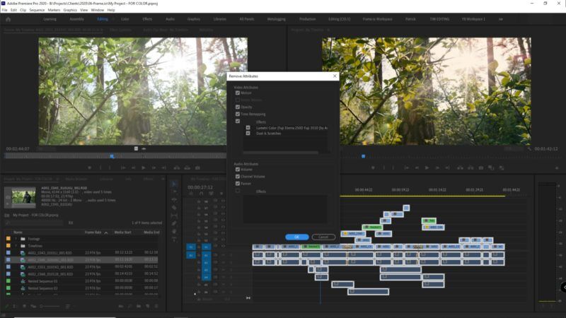 How to Prepare Your Premiere Pro Project for Color Grading