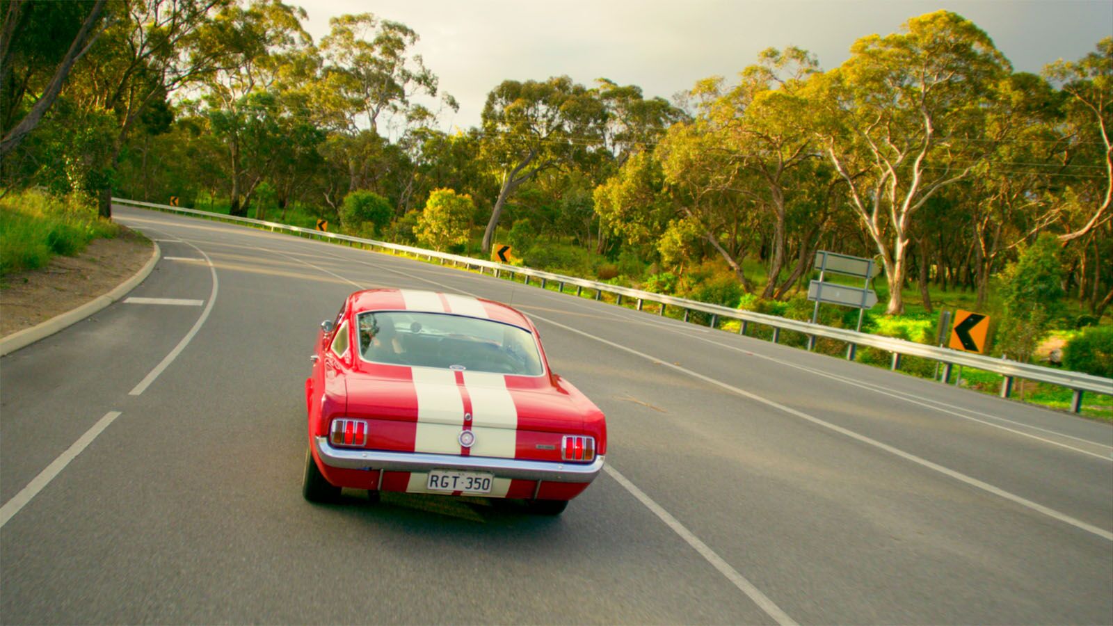 red camera color space