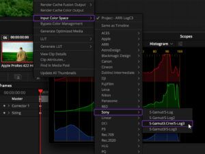 Use a Cheat Sheet for DaVinci Resolve Color Management Setup