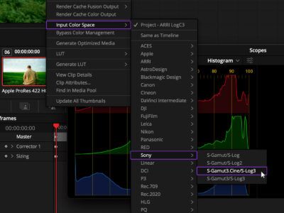 Use a Cheat Sheet for DaVinci Resolve Color Management Setup
