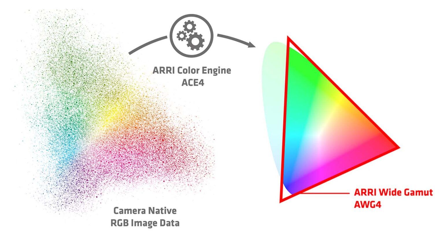 ARRI REVEAL Color Science Explained - Frame.io Insider