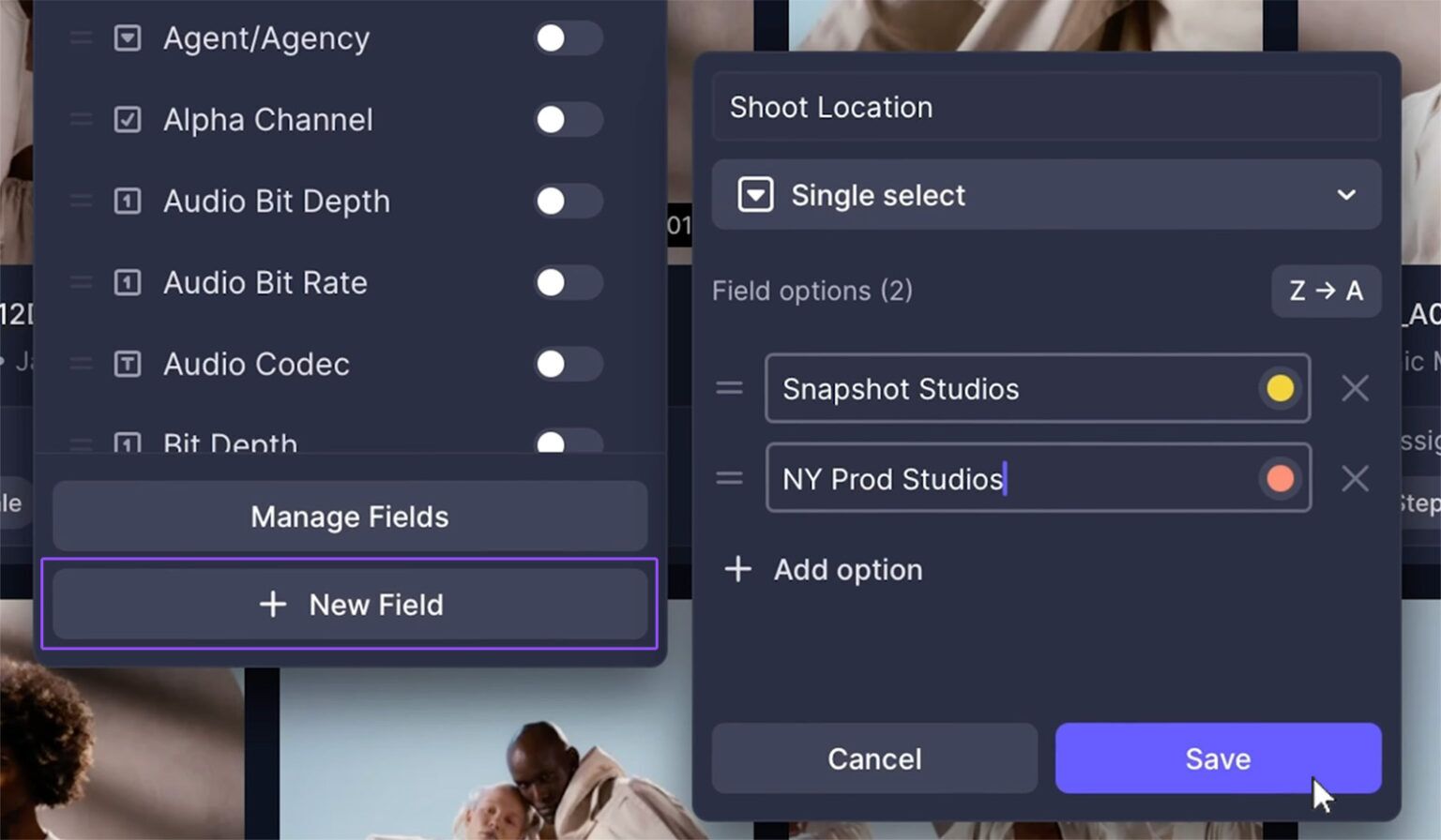 Frame.io V4 Beta Feature Focus—Metadata & Collections