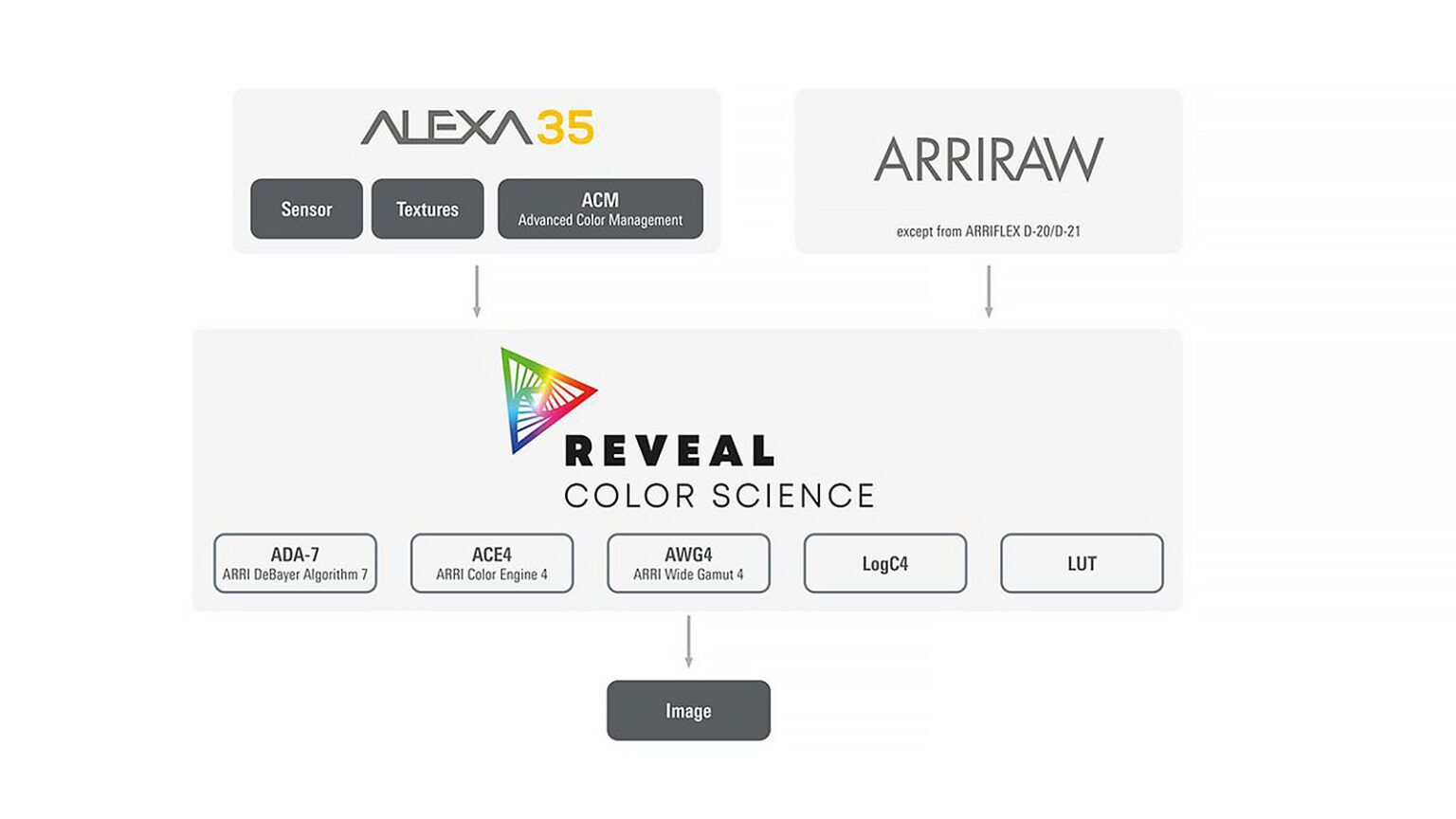 ARRI REVEAL Color Science Explained - Frame.io Insider
