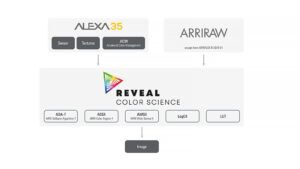 ARRI REVEAL Color Science Explained - Frame.io Insider