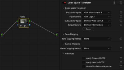 How to Manage RAW Footage Using Nodes in DaVinci Resolve - Frame.io Insider