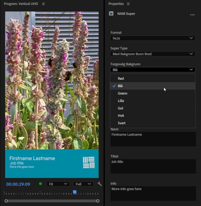 The Complete MOGRT Guide for After Effects 2024