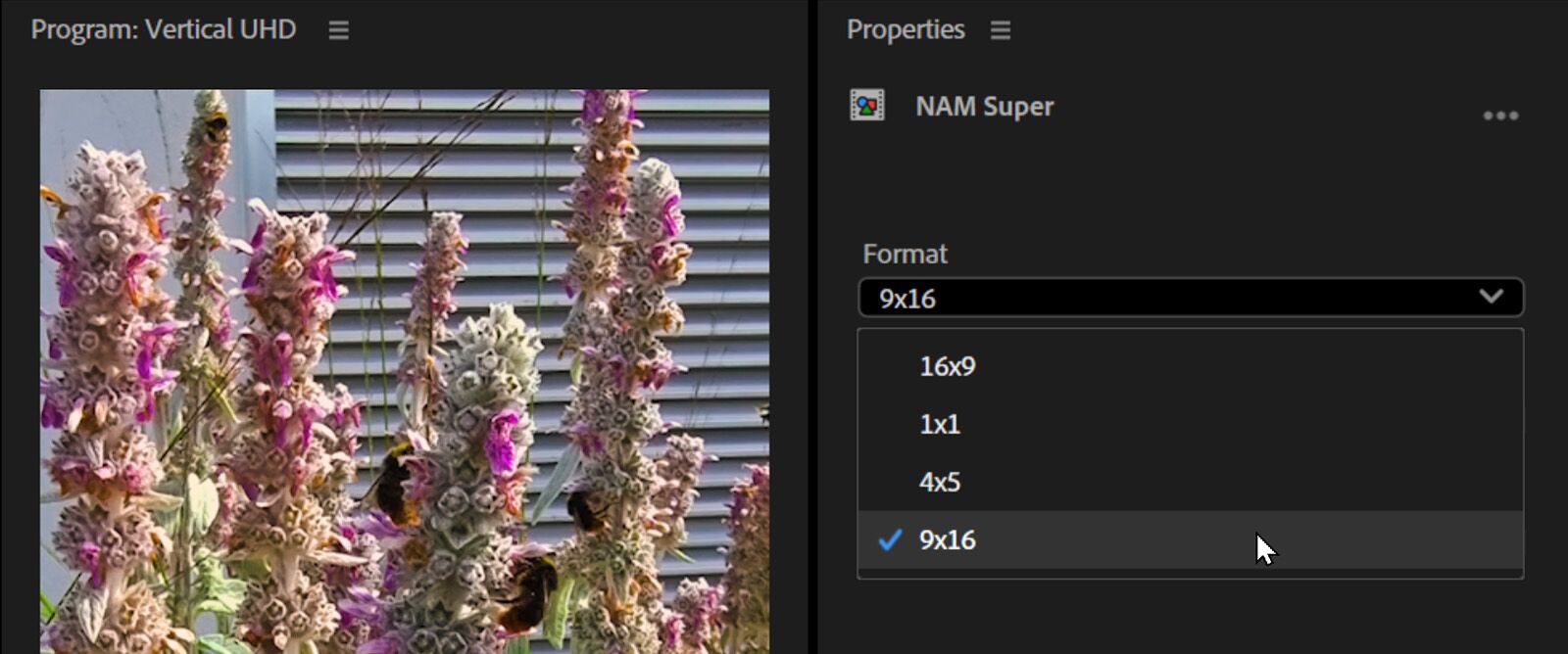 The Complete MOGRT Guide for After Effects 2024
