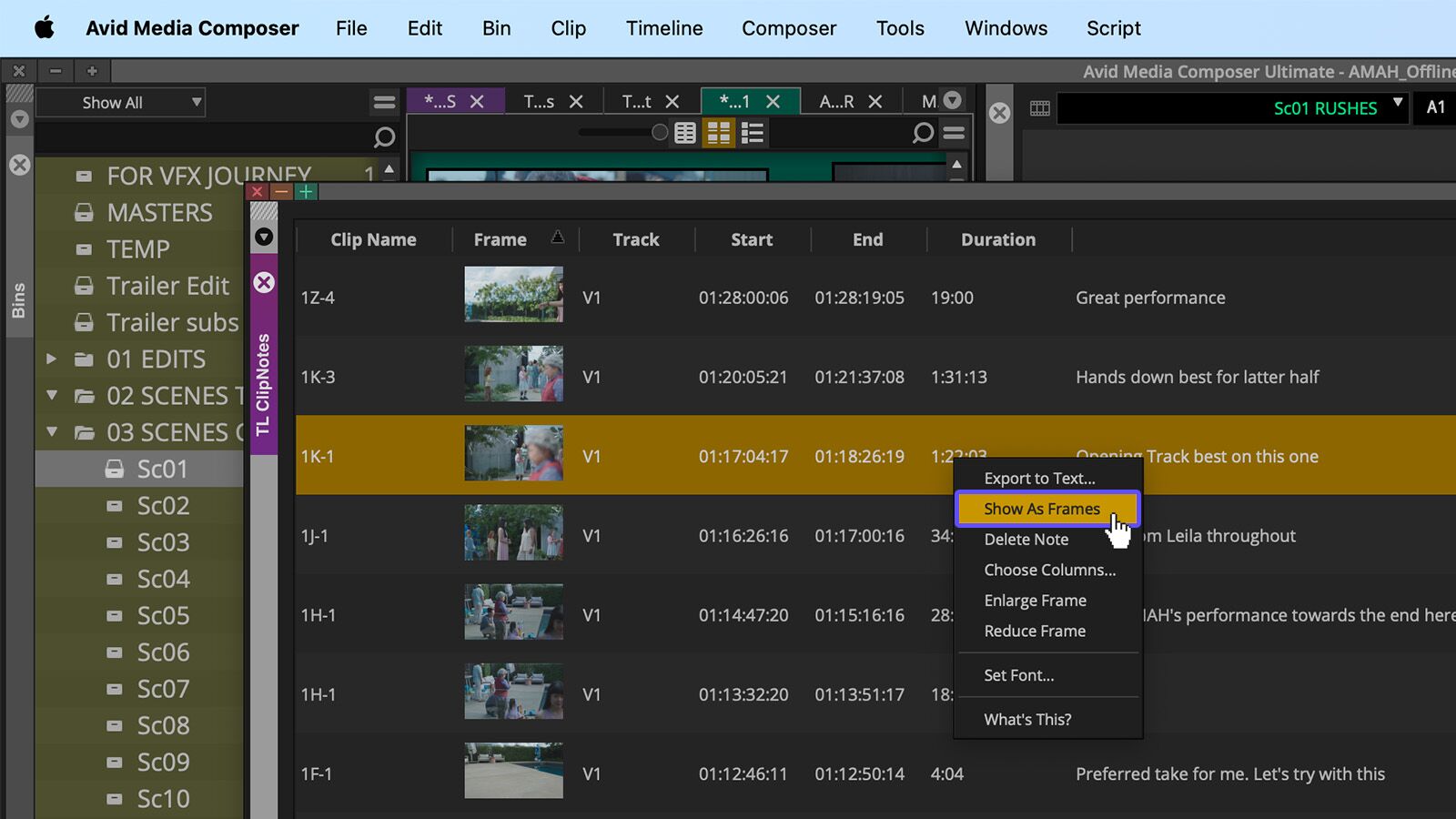 Insider Tips: Using Timeline Clip Notes for More Avid Efficiency ...