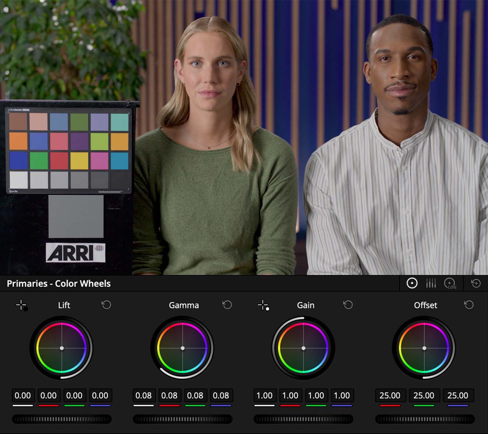 What is Gamma? And How Does a Pro Colorist Use It? - Frame.io Insider