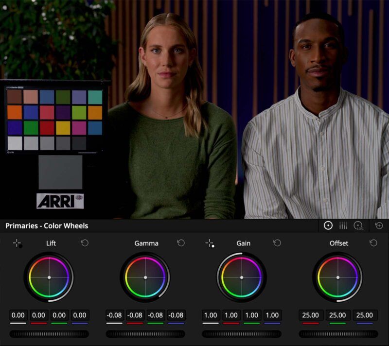 What is Gamma? And How Does a Pro Colorist Use It? - Frame.io Insider