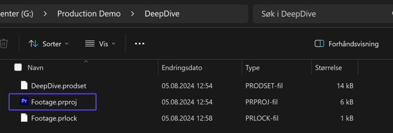The Ultimate Guide to Premiere Pro Productions - Frame.io Insider
